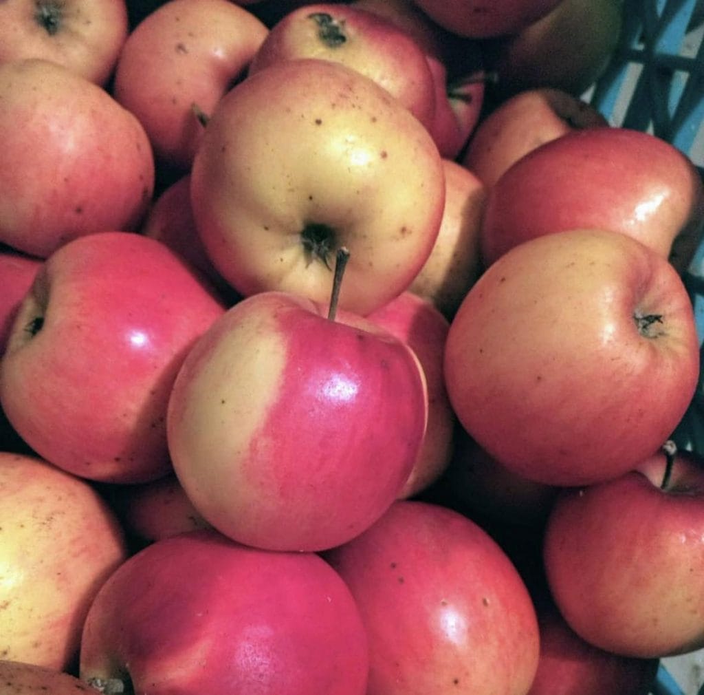 ¡Descubre las 24 increíbles frutas que comienzan con la letra E que ...