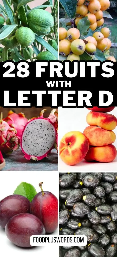 ¡Descubre las 28 frutas que empiezan con D que no creerás que existen!