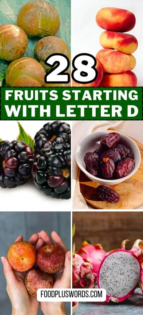 ¡Descubre las 28 frutas que empiezan con D que no creerás que existen!