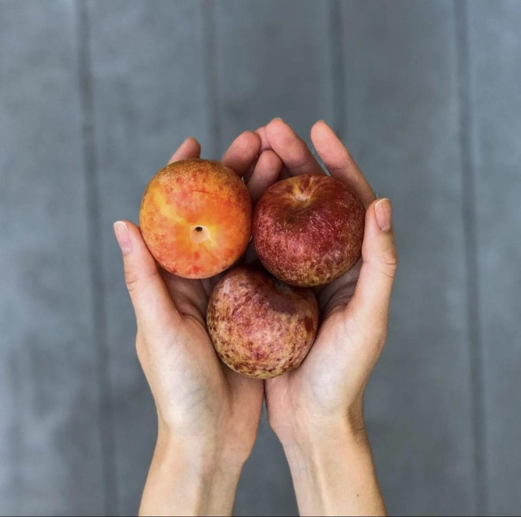 ¡Descubre las 28 frutas que empiezan con D que no creerás que existen!