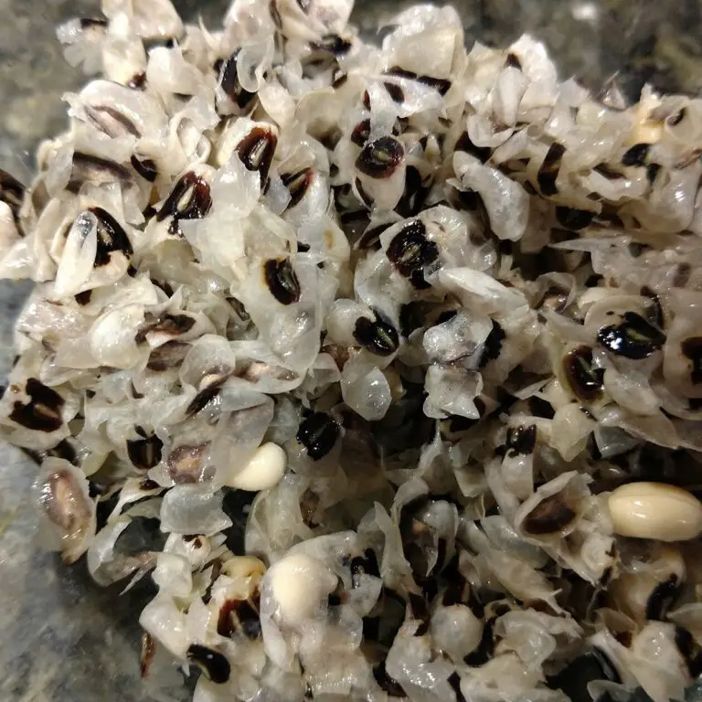 "¡Descubre el secreto para hacer el Moi Moi más delicioso al horno!"